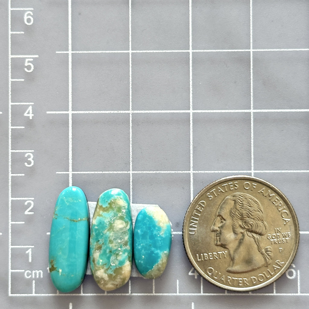 Medium Sky Blue Mixed Royston Turquoise, Set of 3 - Turquoise Moose