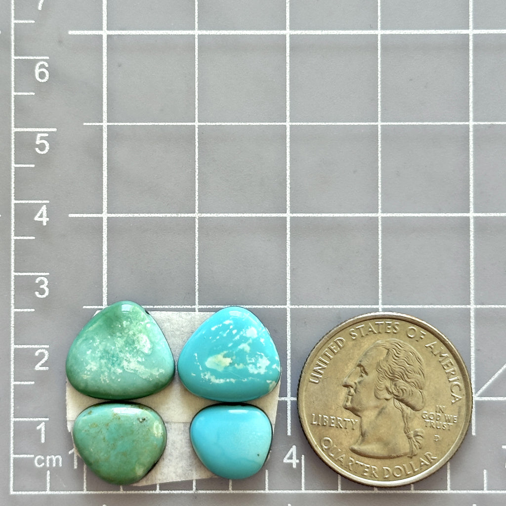 Medium Mixed Freeform Royston Turquoise, Set of 4 - Turquoise Moose
