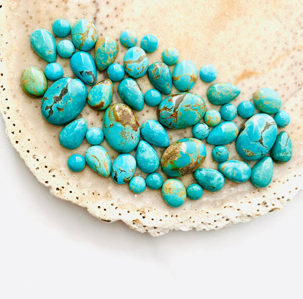 Under $100 – Turquoise Moose