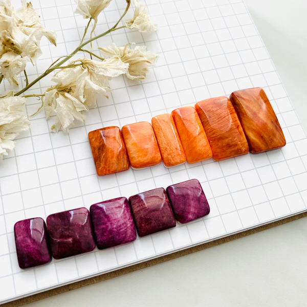 Natural Spiny Oysters Cabochons – Turquoise Moose