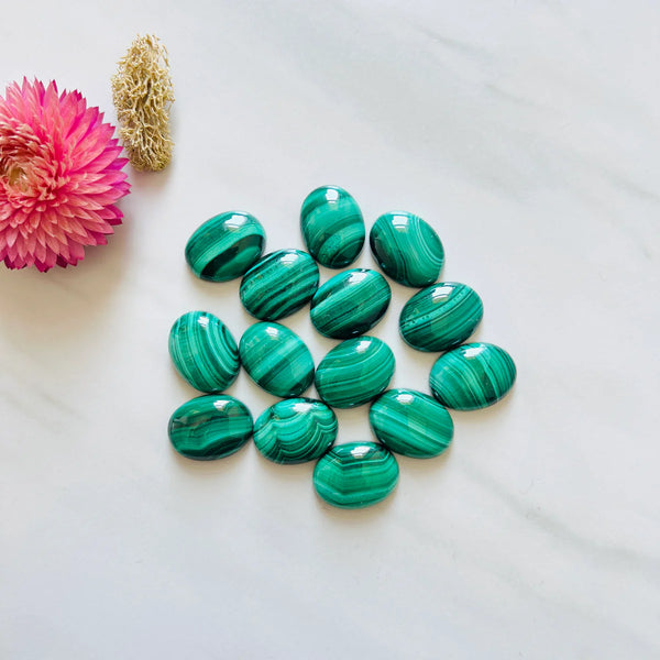 Authentic Calibrated Malachite – Turquoise Moose