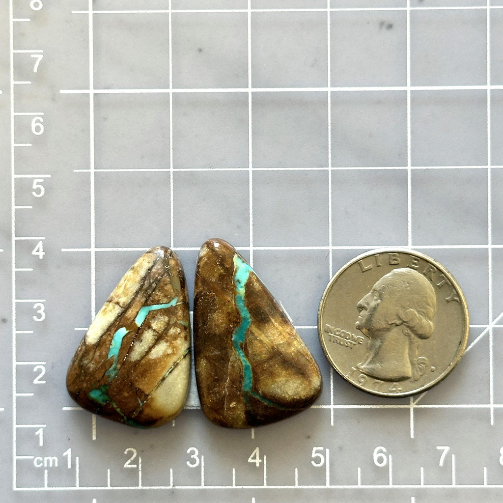 Large Sky Blue Triangle Royston Turquoise, Set of 2 - Turquoise Moose