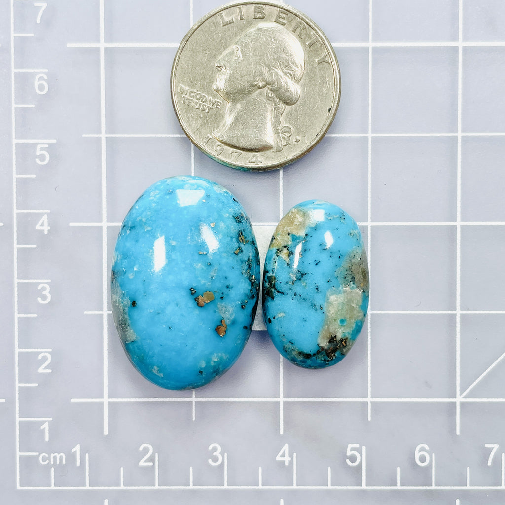 Large Sky Blue Oval Ithaca Peak Turquoise, Set of 2 - Turquoise Moose