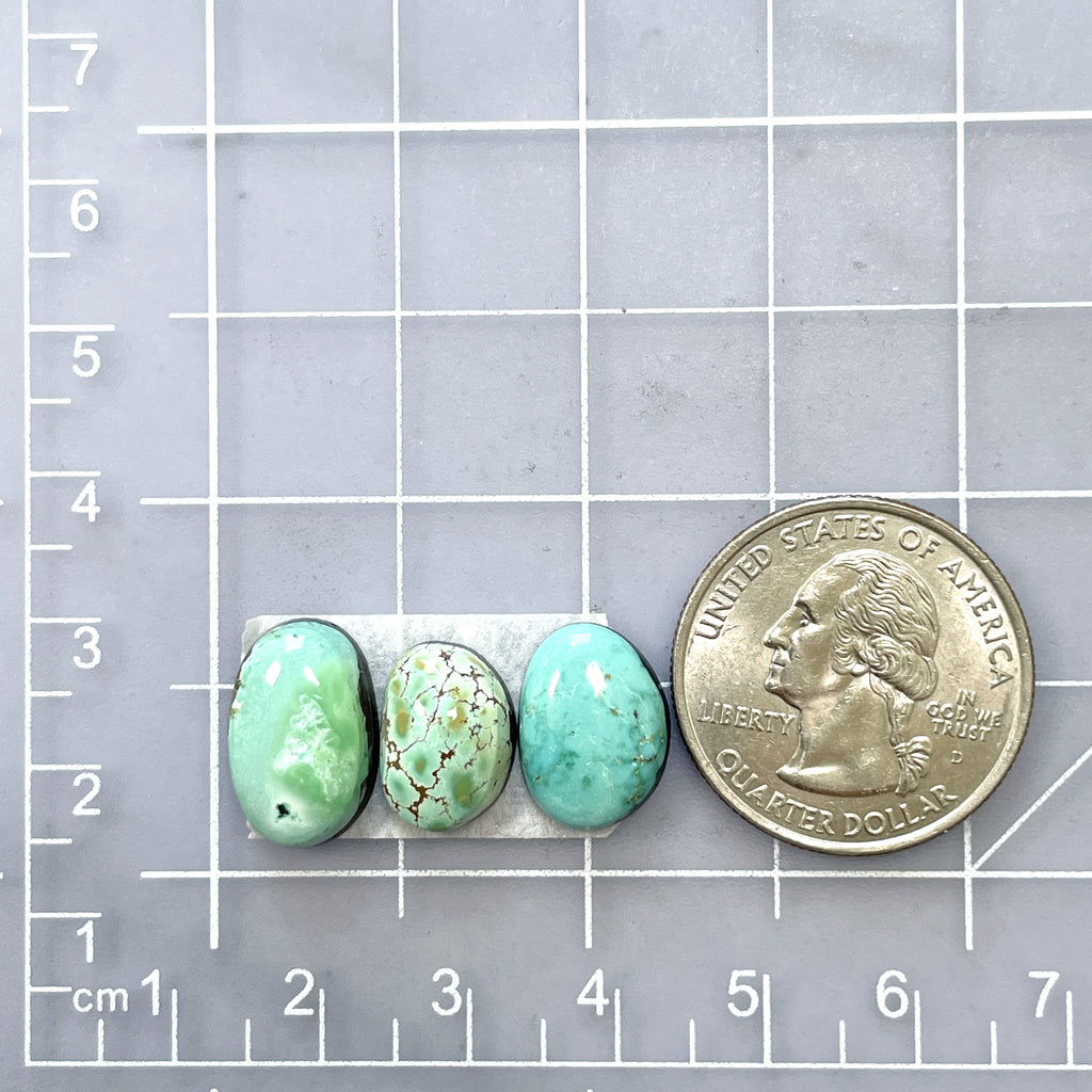 Small Sky Blue Freeform Carico Lake Turquoise, Set of 3 - Turquoise Moose