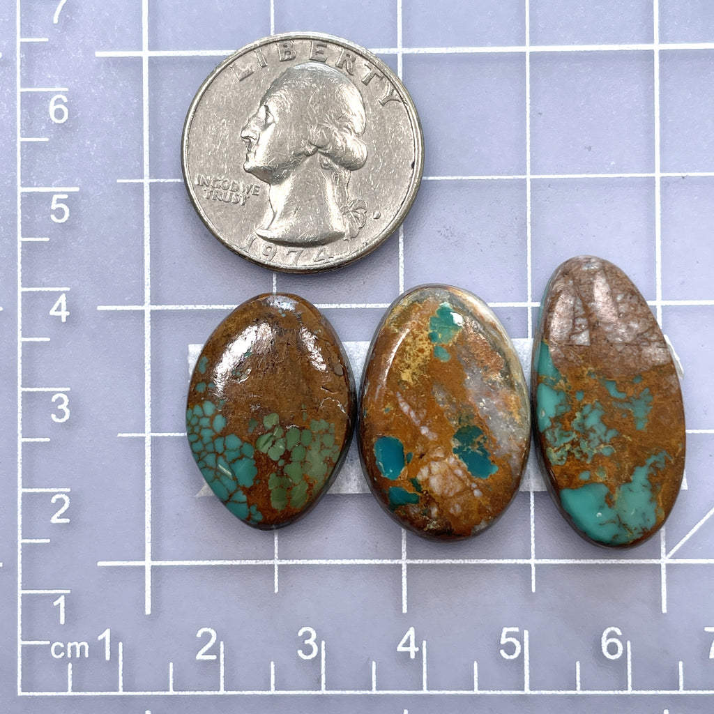 Large Sky Blue Freeform Royston Turquoise, Set of 3 - Turquoise Moose