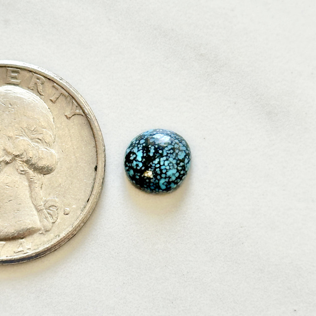 Small Deep Blue Round Lander Blue Turquoise - Turquoise Moose