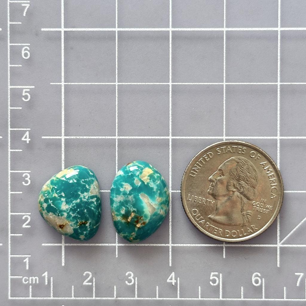 Small Mint Green Freeform Fox Turquoise, Set of 2 - Turquoise Moose