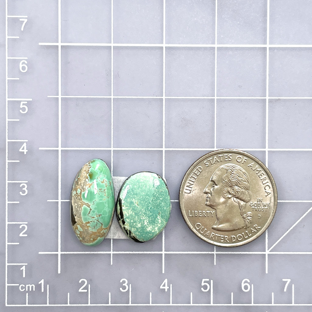 Medium Mint Green Oval Carico Lake Turquoise, Set of 2 - Turquoise Moose