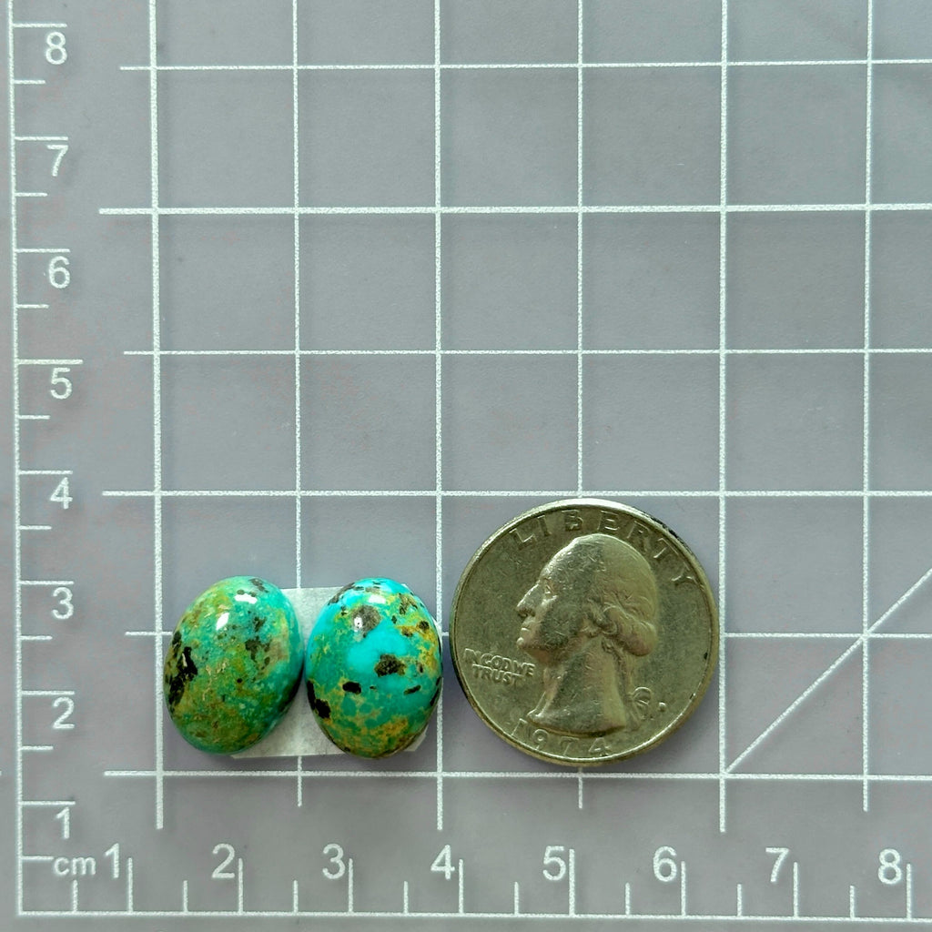 Small Sea Green Oval Carico Lake Turquoise, Set of 2 - Turquoise Moose