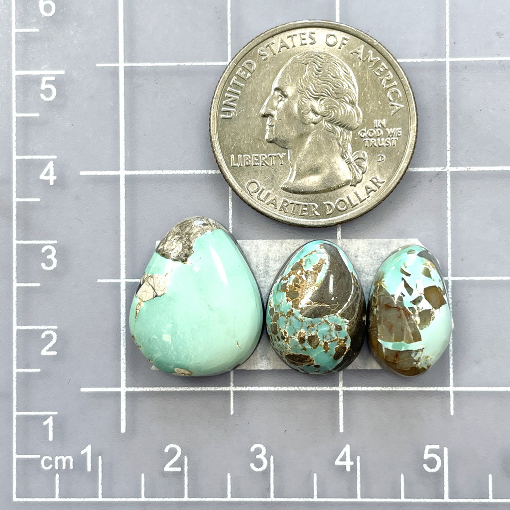 Medium Sky Blue Freeform Carico Lake Turquoise, Set of 2 - Turquoise Moose