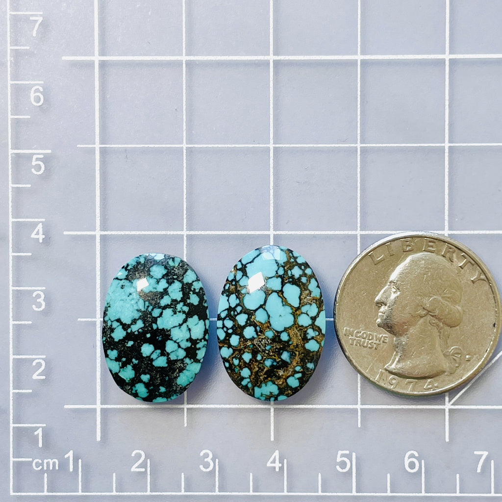 Large Sky Blue Oval Yungai Turquoise, Set of 2 - Turquoise Moose
