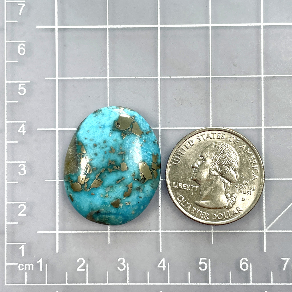 Large Sky Blue Oval Ithaca Peak Turquoise - Turquoise Moose
