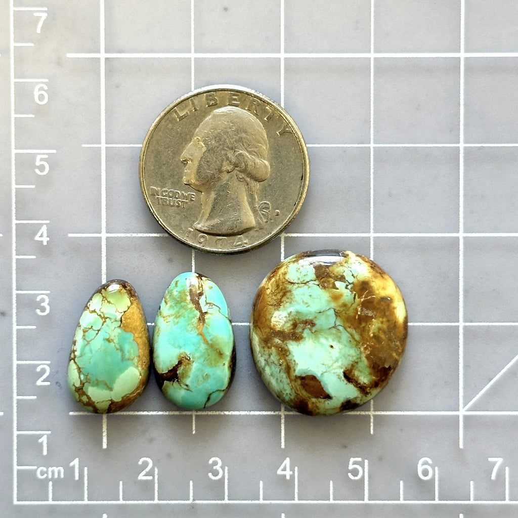 Medium Mint Green Mixed Royston Turquoise, Set of 3 - Turquoise Moose