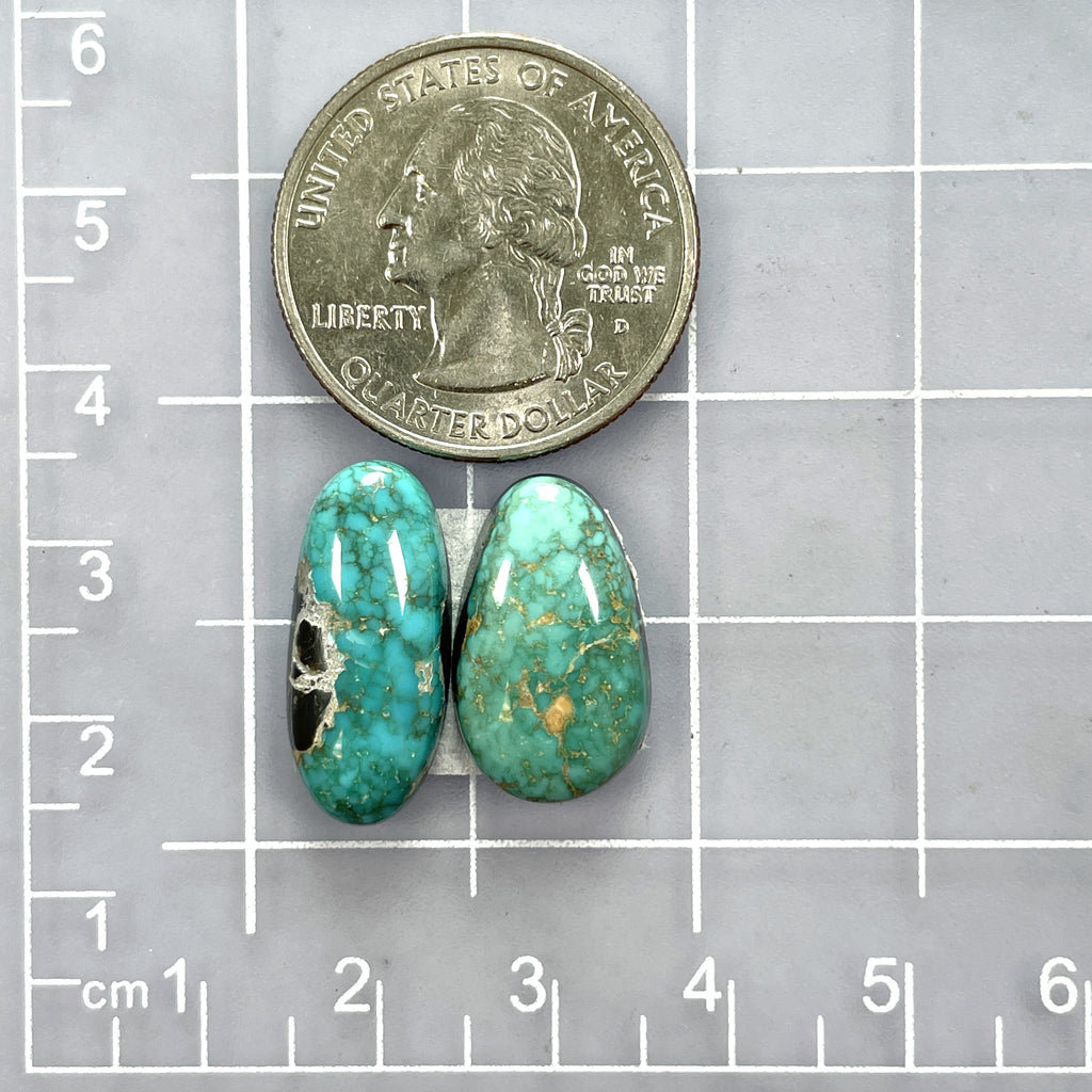 Large Deep Green Freeform Carico Lake Turquoise, Set of 2 - Turquoise Moose
