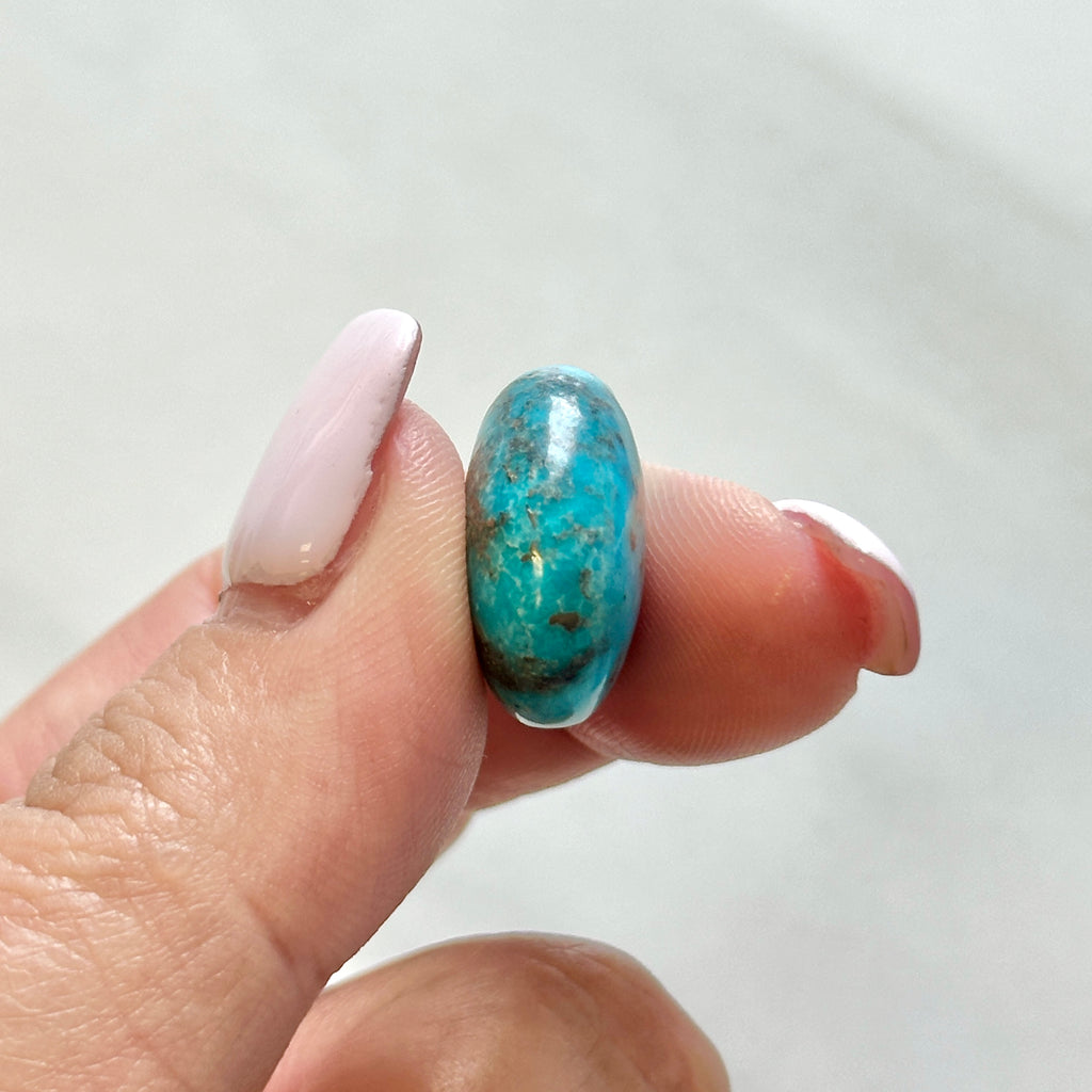 Large Sky Blue Oval Ithaca Peak Turquoise - Turquoise Moose