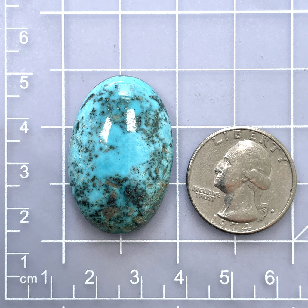 Large Sky Blue Oval Ithaca Peak Turquoise - Turquoise Moose
