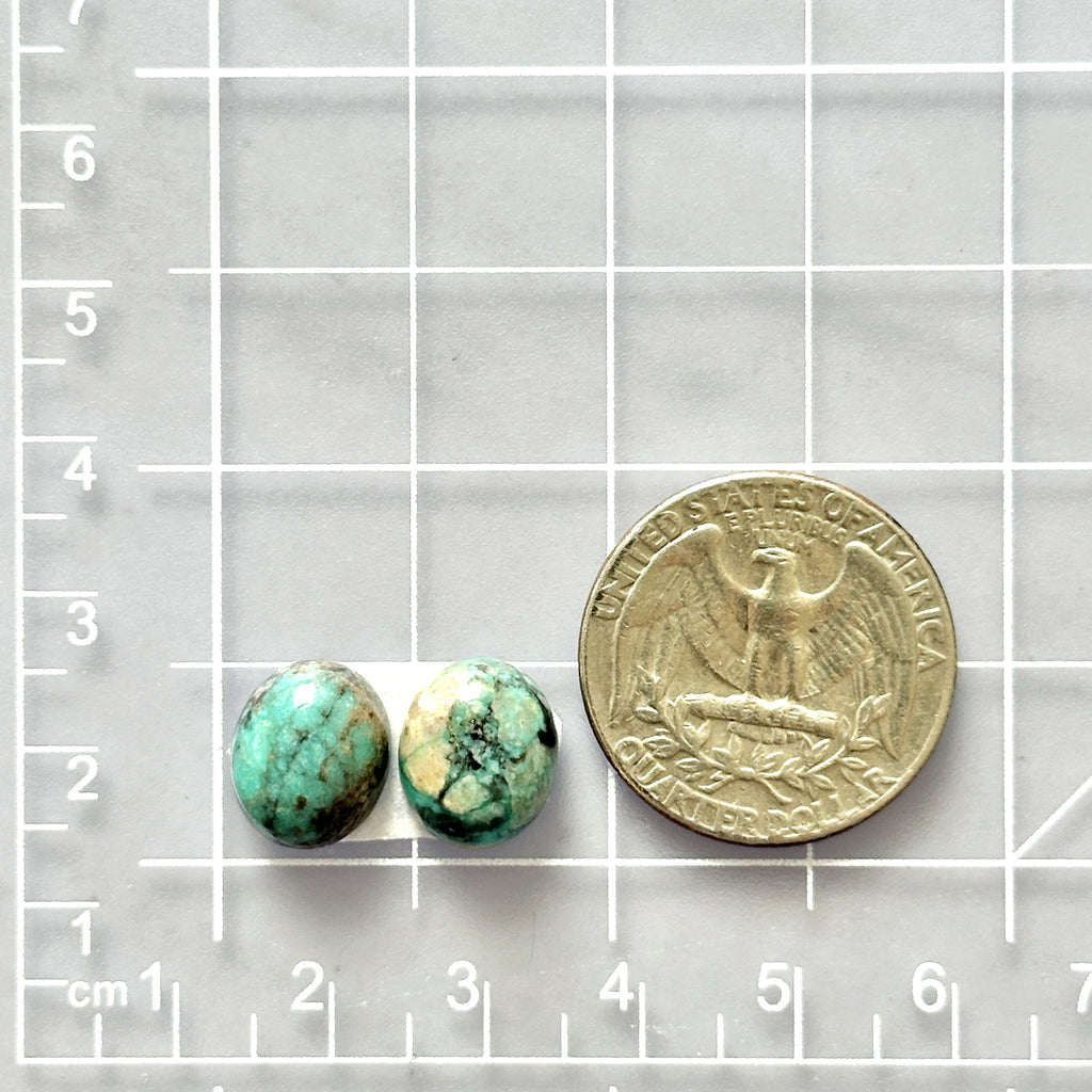 Small Sea Green Oval Yungai Turquoise, Set of 2 - Turquoise Moose
