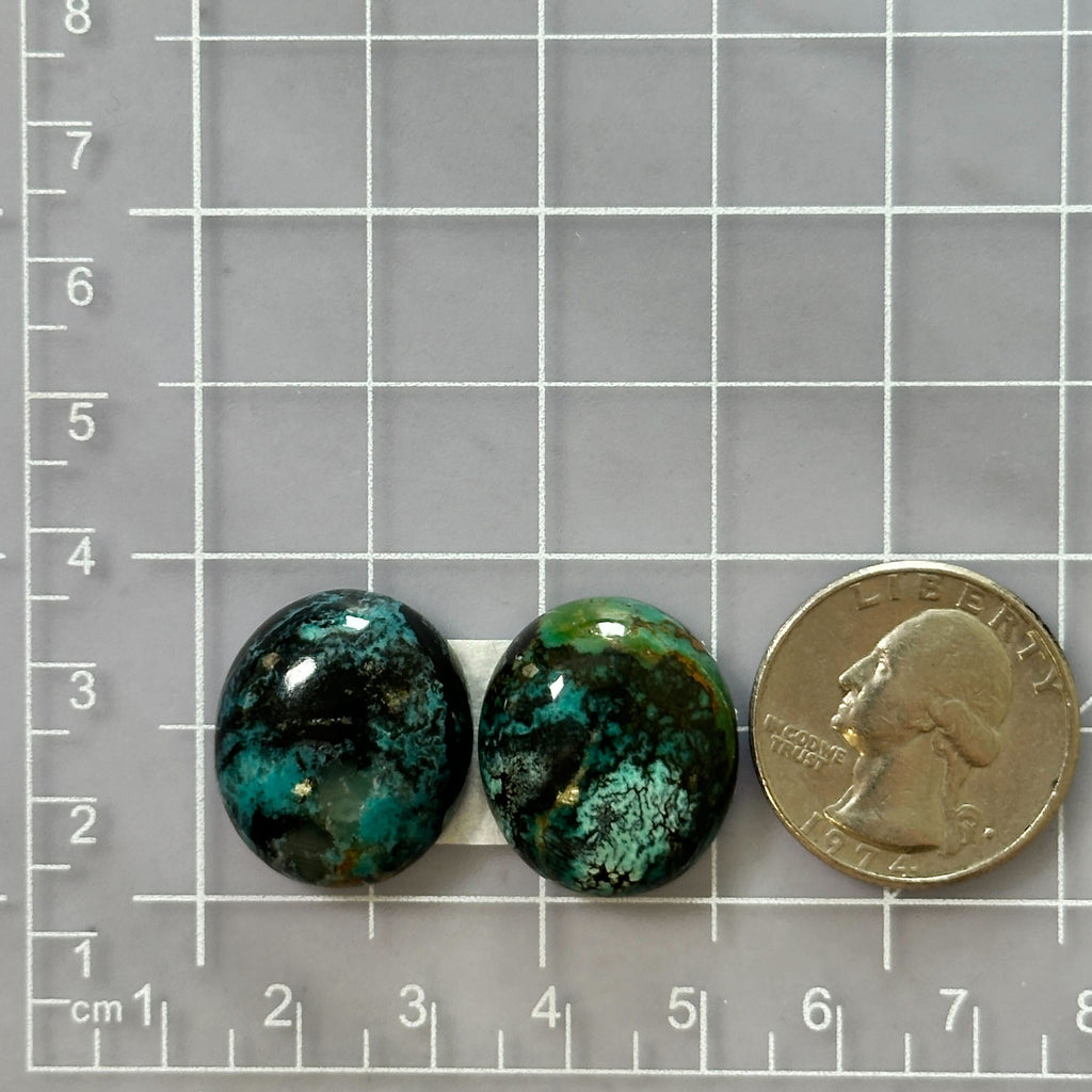 Medium Deep Blue Oval Yungai Turquoise, Set of 2 - Turquoise Moose