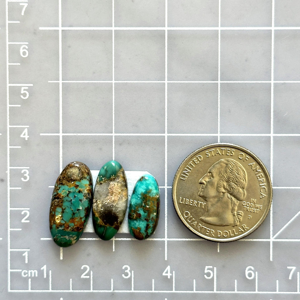 Medium Ocean Blue Oval Royston Turquoise, Set of 3 - Turquoise Moose