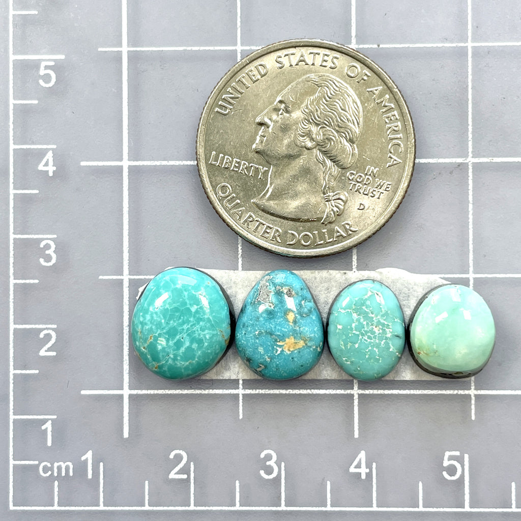 Small Sky Blue Freeform Carico Lake Turquoise, Set of 4 - Turquoise Moose