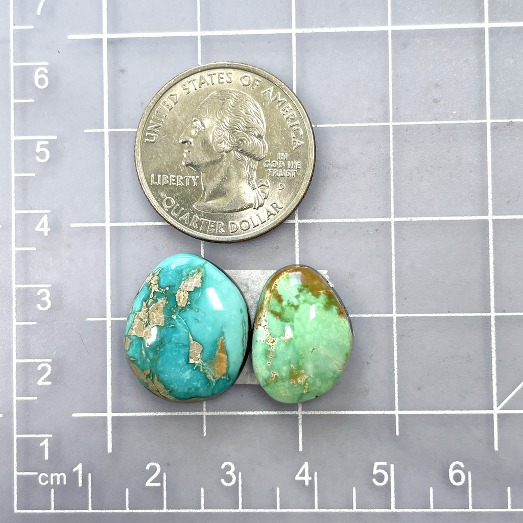 Medium Mixed Freeform Carico Lake Turquoise, Set of 2 - Turquoise Moose