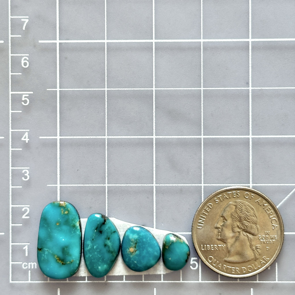 Small Ocean Blue Freeform Blue Gem Turquoise, Set of 4 - Turquoise Moose