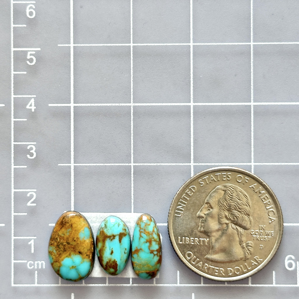 Small Sky Blue Mixed Royston Turquoise, Set of 3 - Turquoise Moose