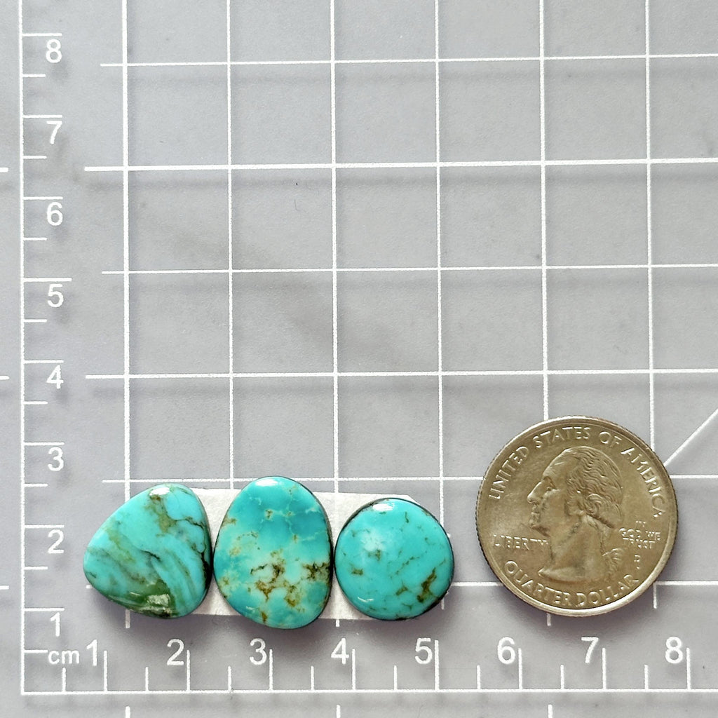 Small Sky Blue Freeform Pilot Mountain Turquoise, Set of 3 - Turquoise ...