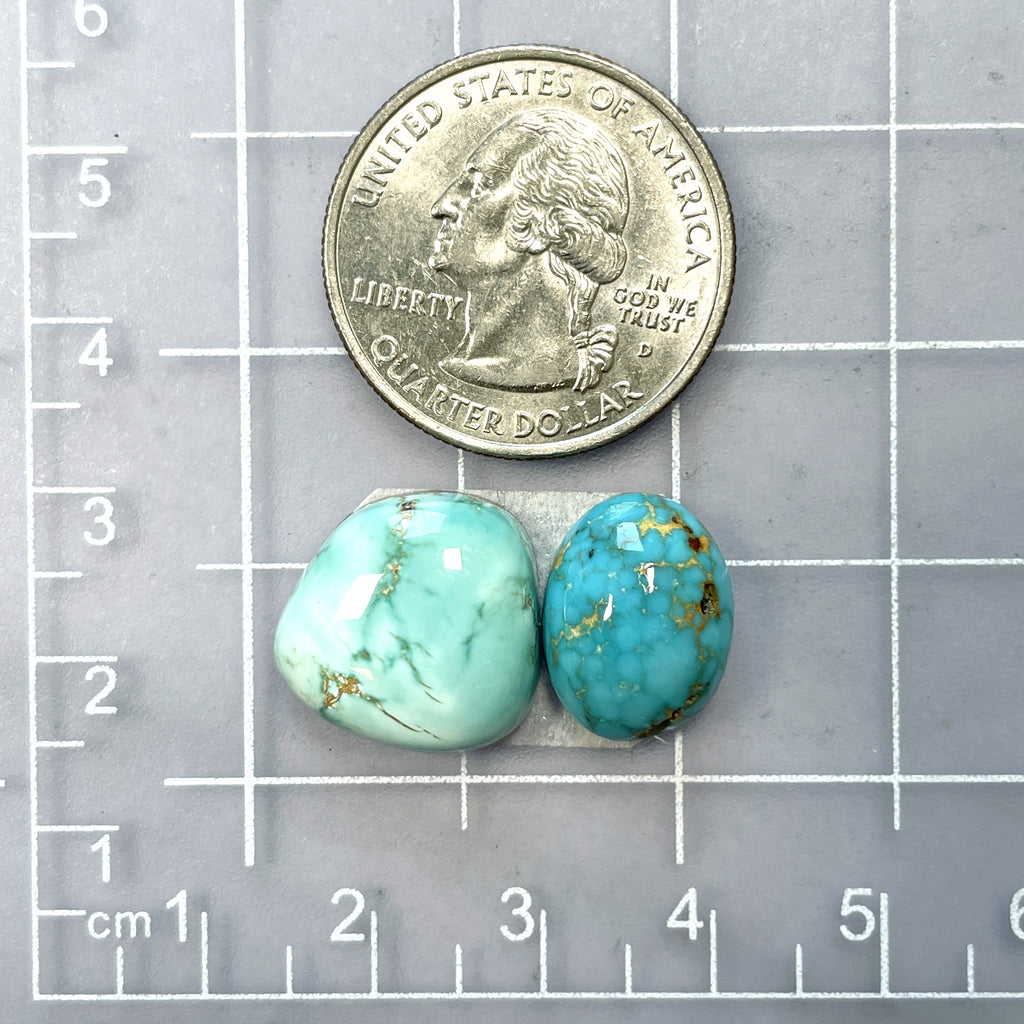 Small Sky Blue Freeform Carico Lake Turquoise, Set of 2 - Turquoise Moose