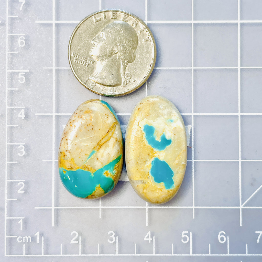 Large Sky Blue Oval Royston Turquoise, Set of 2 - Turquoise Moose