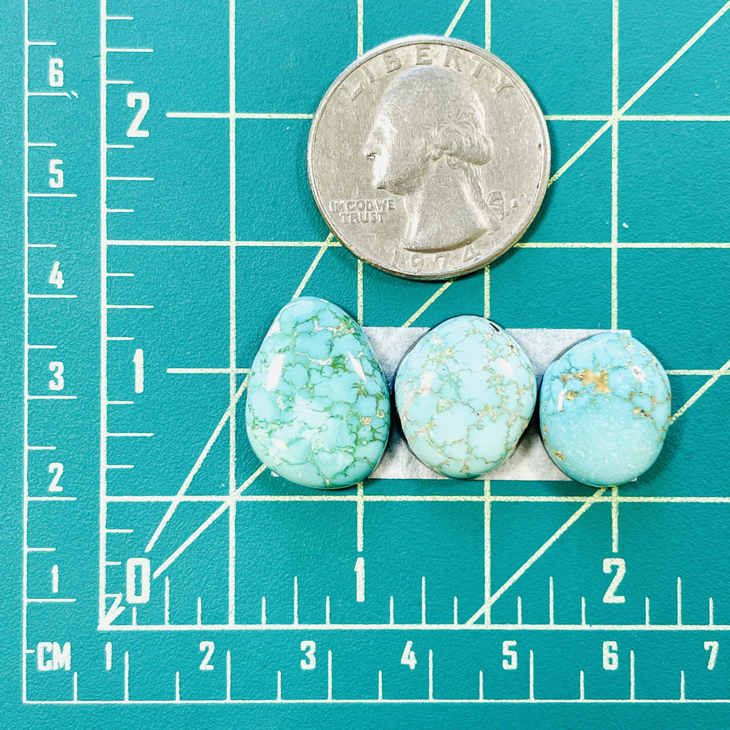 Medium Faint Green Mixed Tyrone Turquoise, Set of 3 - Turquoise Moose