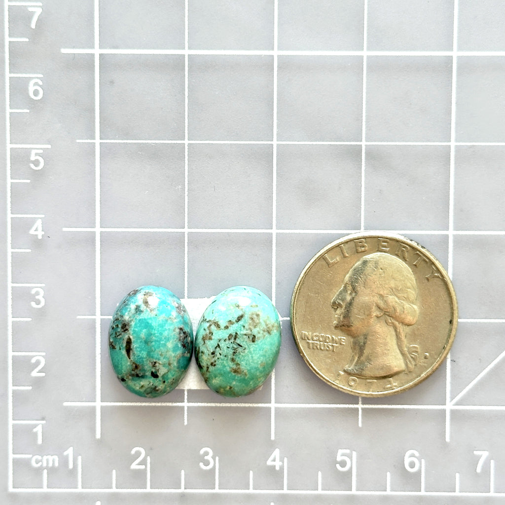 Medium Sky Blue Oval Ithaca Peak Turquoise, Set of 2 - Turquoise Moose