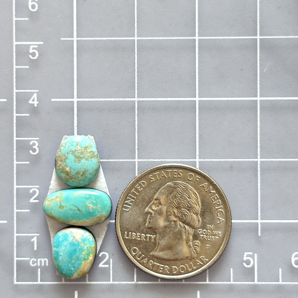 Small Sky Blue Mixed Royston Turquoise, Set of 3 - Turquoise Moose