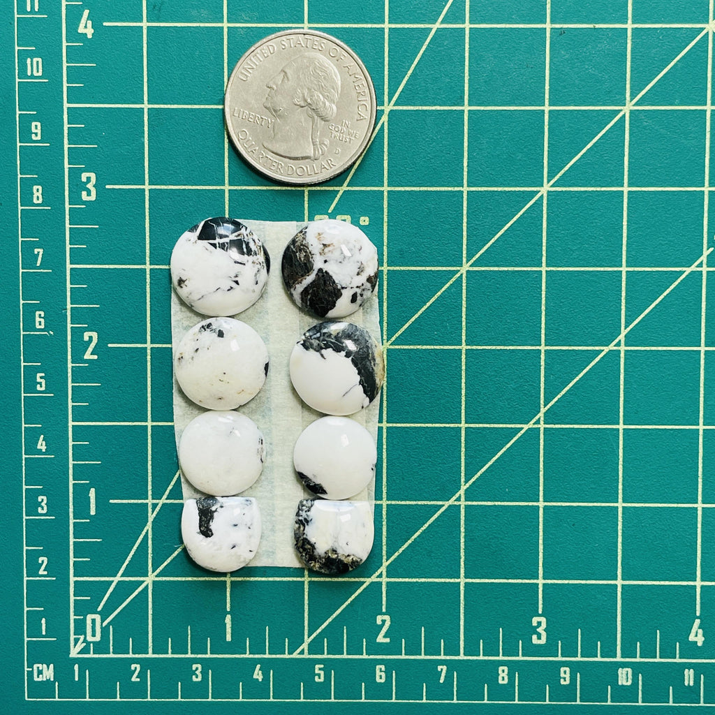 Small White Round White Buffalo Dolomite, Set of 8 - Turquoise Moose