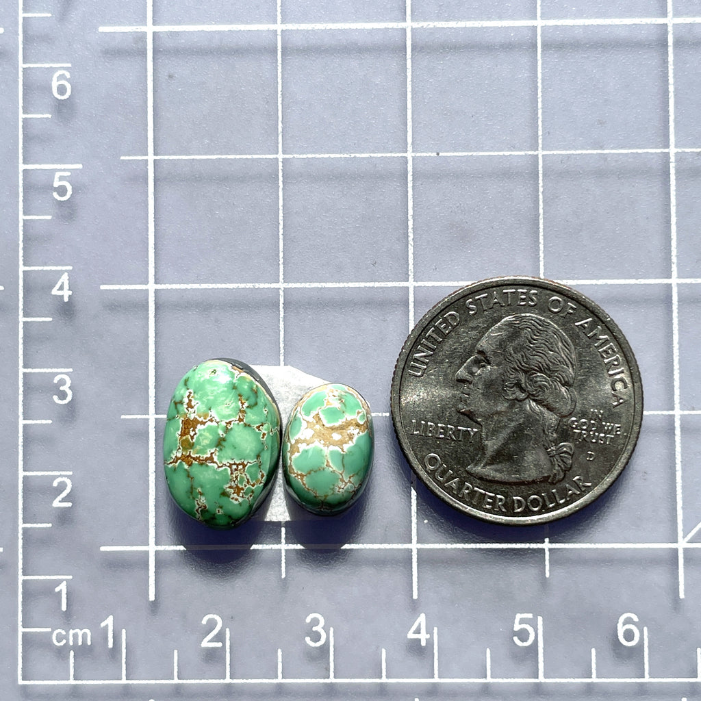 Small Sea Green Freeform Carico Lake Turquoise, Set of 2 - Turquoise Moose