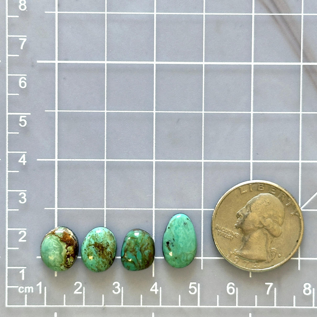 Small Mixed Mixed Pilot Mountain Turquoise, Set of 4 - Turquoise Moose