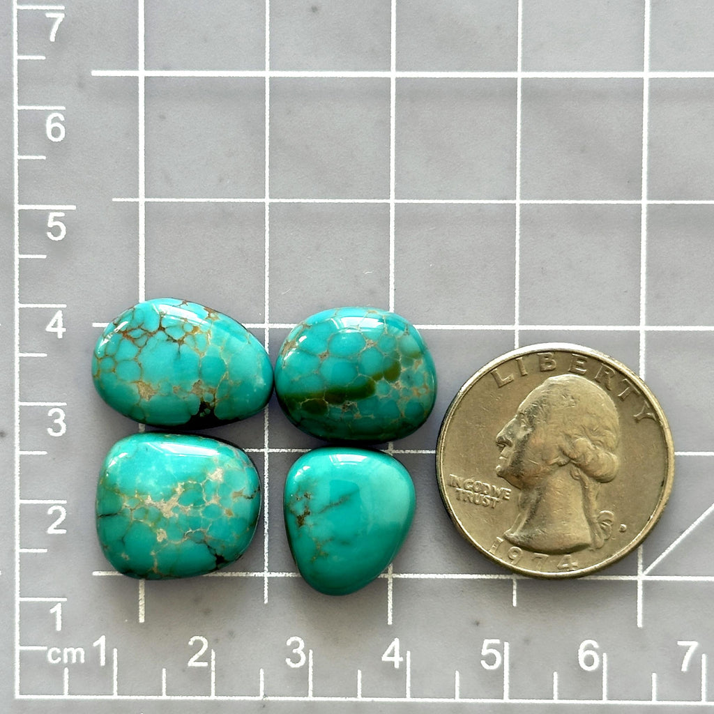 Medium Ocean Blue Freeform Royston Turquoise, Set of 4 - Turquoise Moose