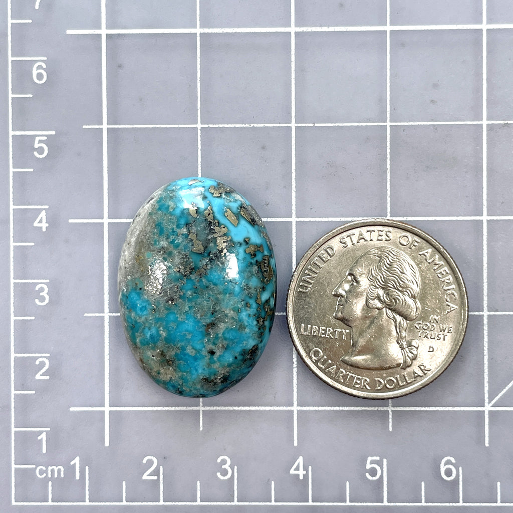 Large Sky Blue Oval Ithaca Peak Turquoise - Turquoise Moose