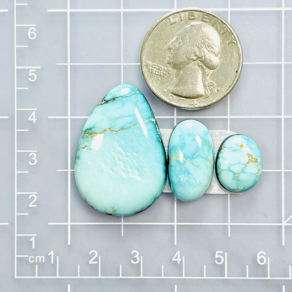Large Sky Blue Freeform Carico Lake Turquoise, Set of 3 - Turquoise Moose