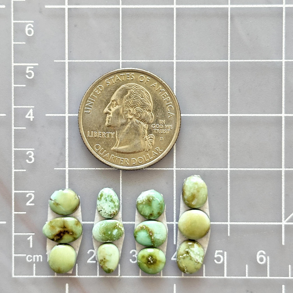 Small Lime Green Mixed Sonoran Gold Turquoise, Set of 12 - Turquoise Moose