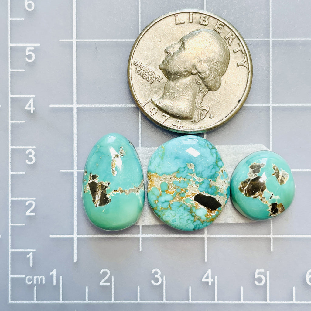 Large Sky Blue Freeform Carico Lake Turquoise, Set of 3 - Turquoise Moose