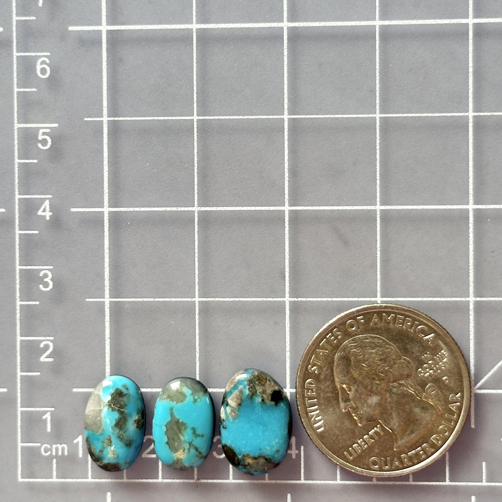 Small Ocean Blue Oval Ithaca Peak Turquoise, Set of 3 - Turquoise Moose
