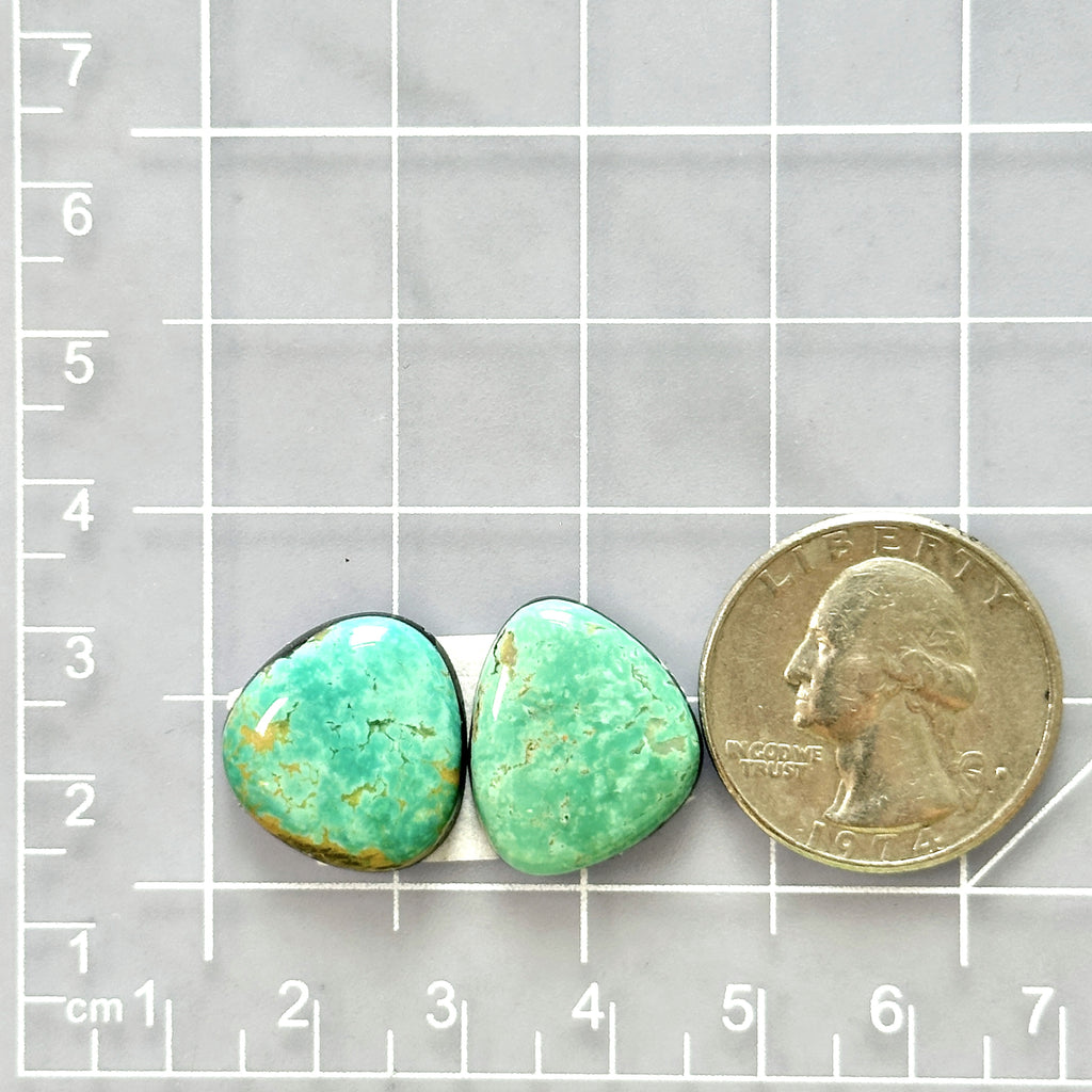 Medium Mint Green Freeform Tyrone Turquoise, Set of 2 - Turquoise Moose