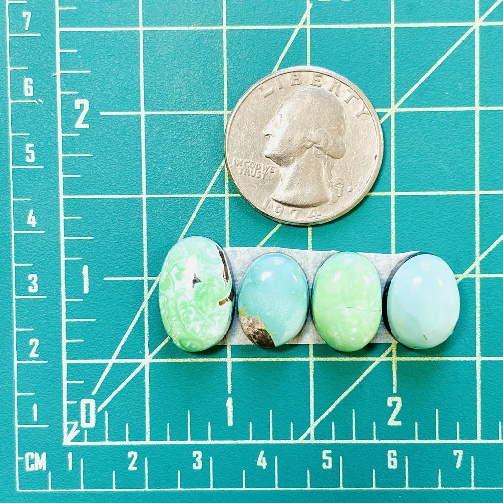 Medium Lime Green Oval Carico Lake Turquoise, Set of 4 - Turquoise Moose