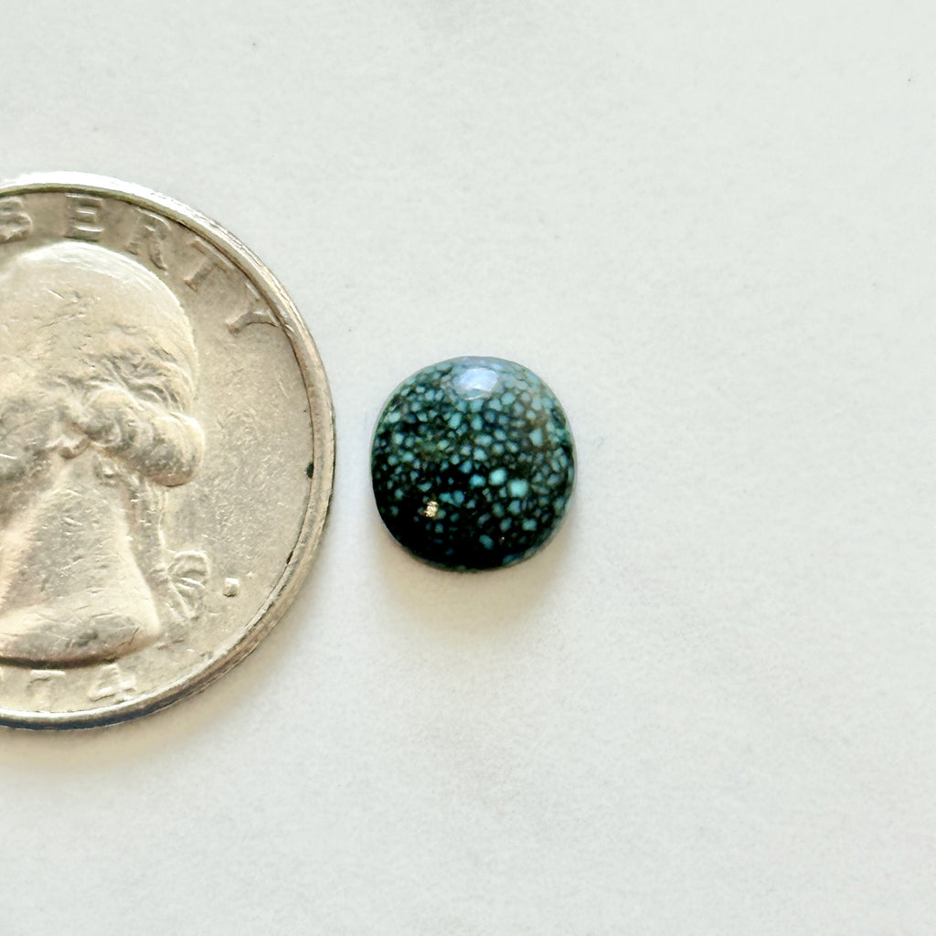 Small Deep Blue Round Lander Blue Turquoise - Turquoise Moose