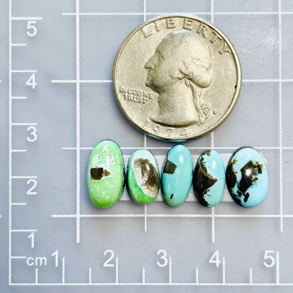 Small Mixed Freeform Carico Lake Turquoise, Set of 5 - Turquoise Moose