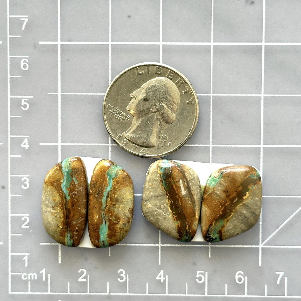 Medium Mint Green Freeform Royston Turquoise, Set of 4 - Turquoise Moose