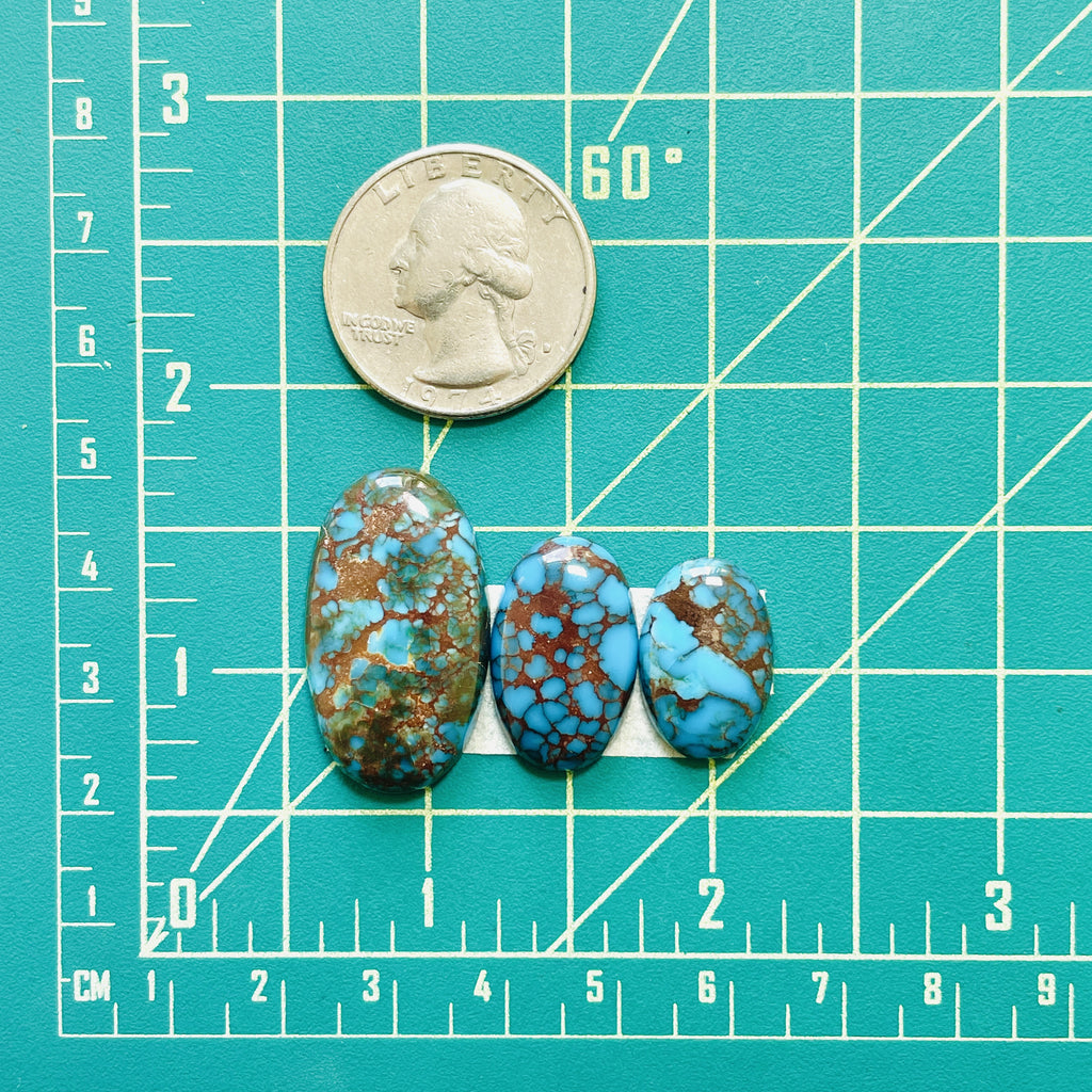 Medium Ocean Blue Oval Prince Egyptian Turquoise, Set of 3 - Turquoise ...