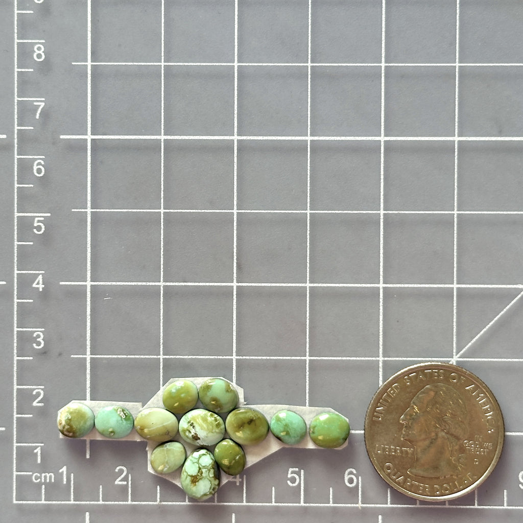 Small Lime Green Mixed Sonoran Gold Turquoise, Set of 12 - Turquoise Moose