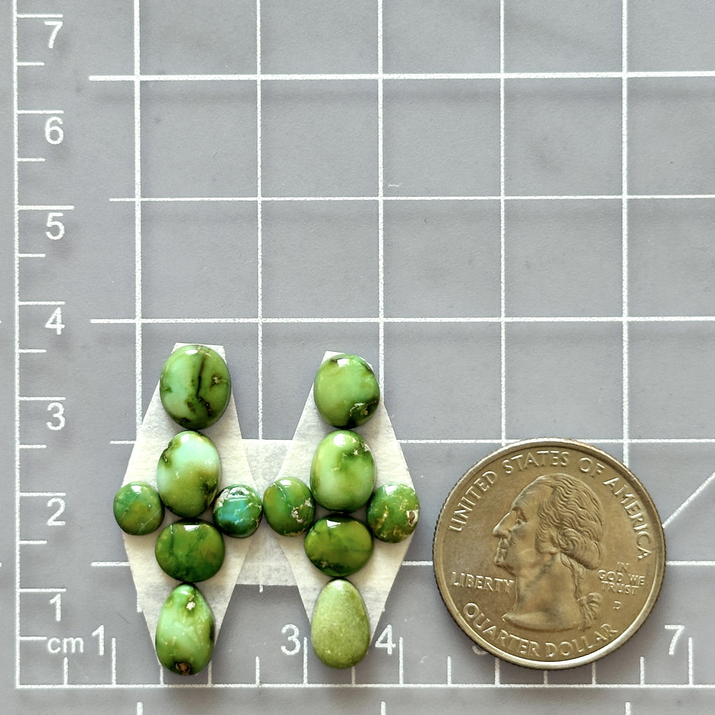 Small Lime Green Mixed Sonoran Gold Turquoise, Set of 12 - Turquoise Moose